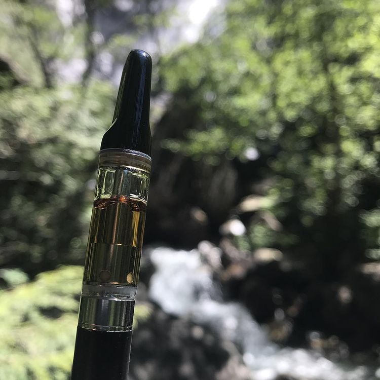 High THC Oil Vape Carts You Must Try! - Grizzly Herb