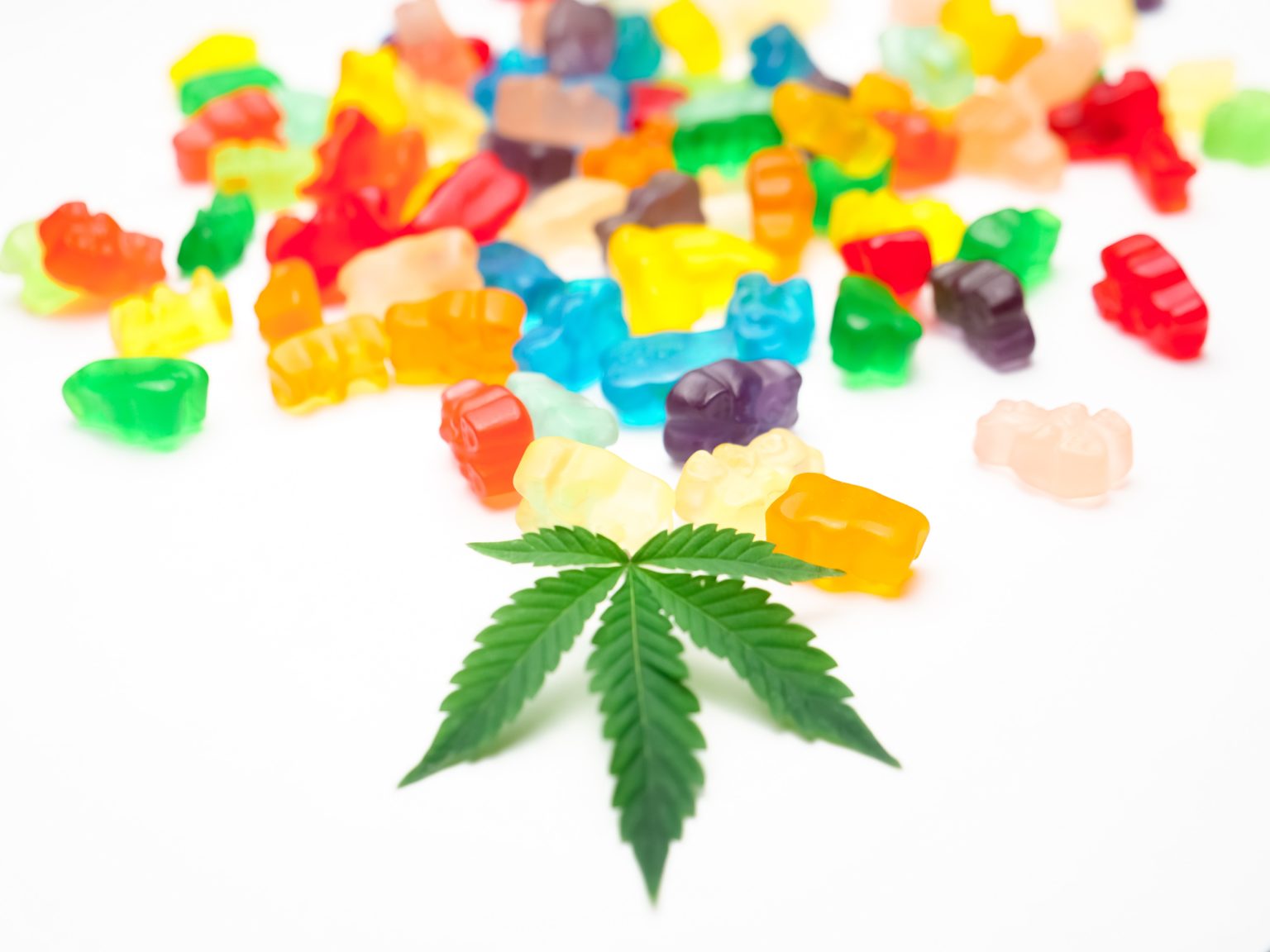 Indica Gummies Benefits Effects And Where To Buy Quality Indica indica-gummies-benefits-effects-and-where-to-buy-quality-indica